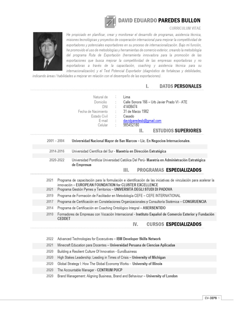 CV - DAVID PAREDES BULLON-2023 | PDF | Perú | Exportaciones