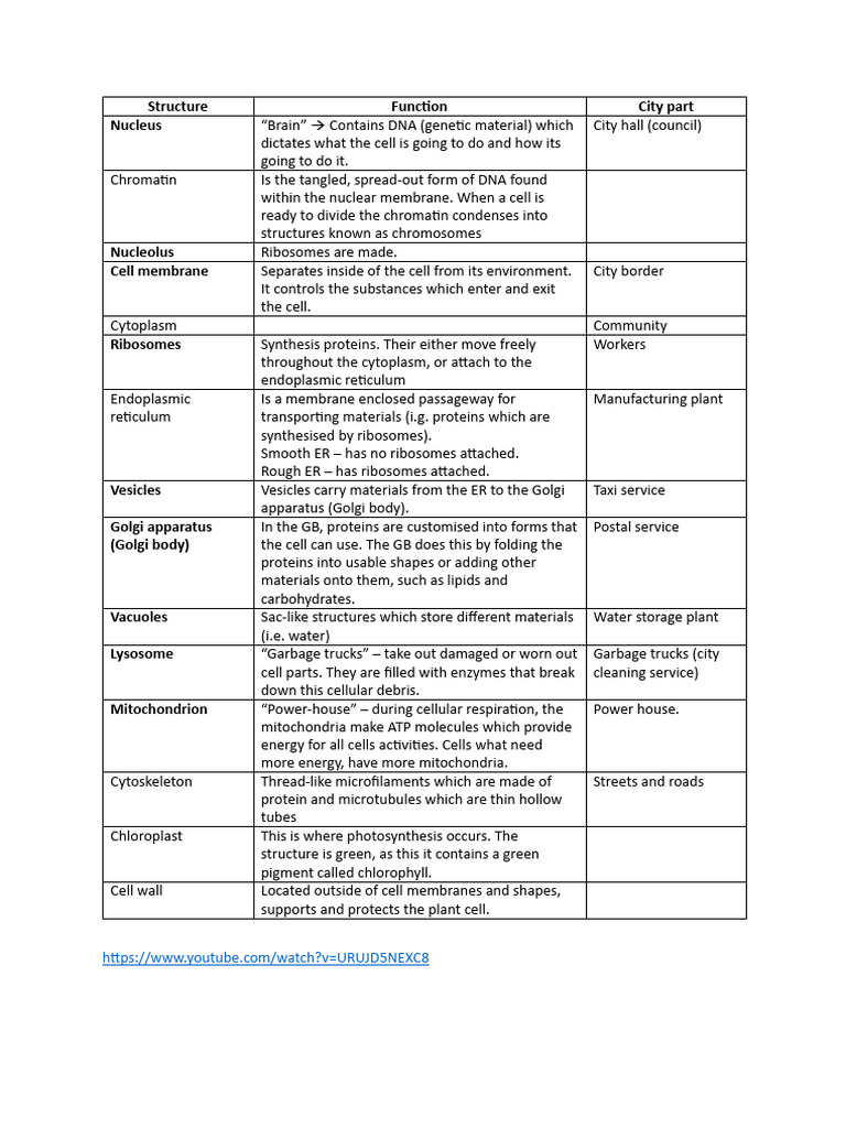 Structure and Function of Cell Organelles | PDF | Cell (Biology ...