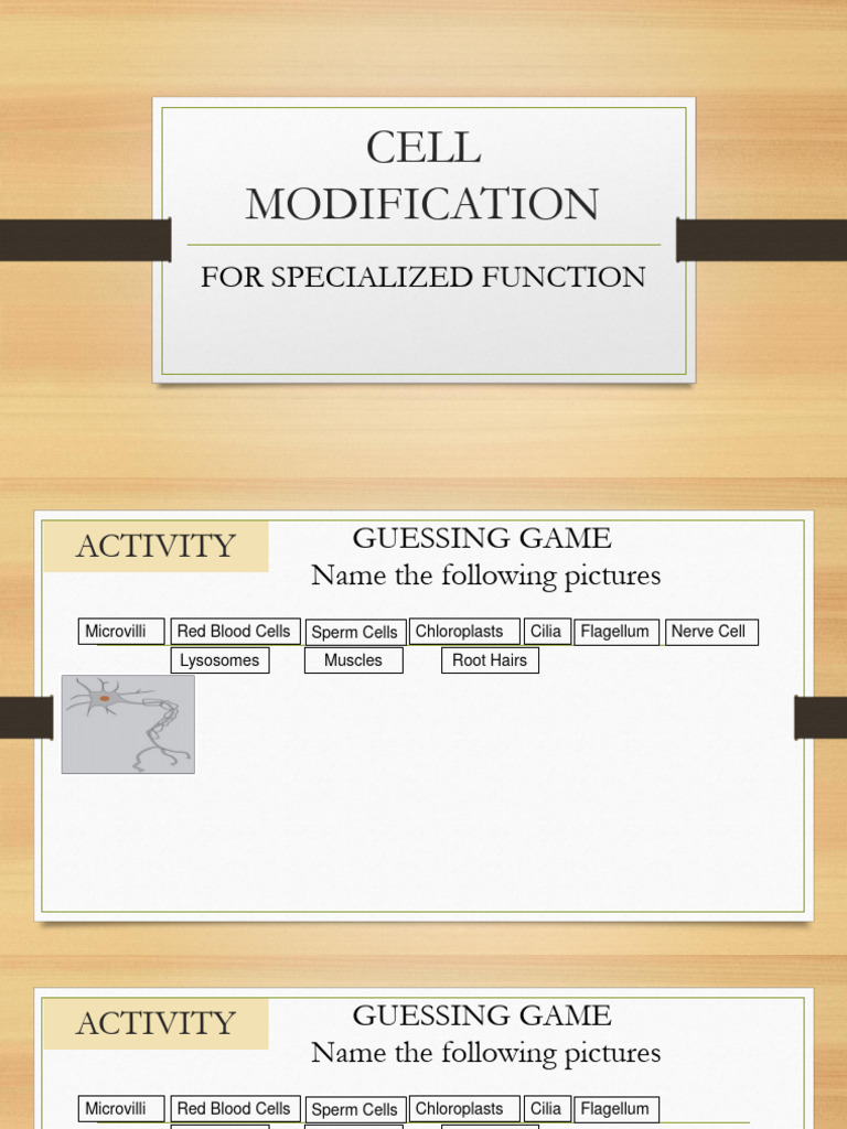 Module 5 - Cell Modification | PDF | Cell (Biology) | Epithelium