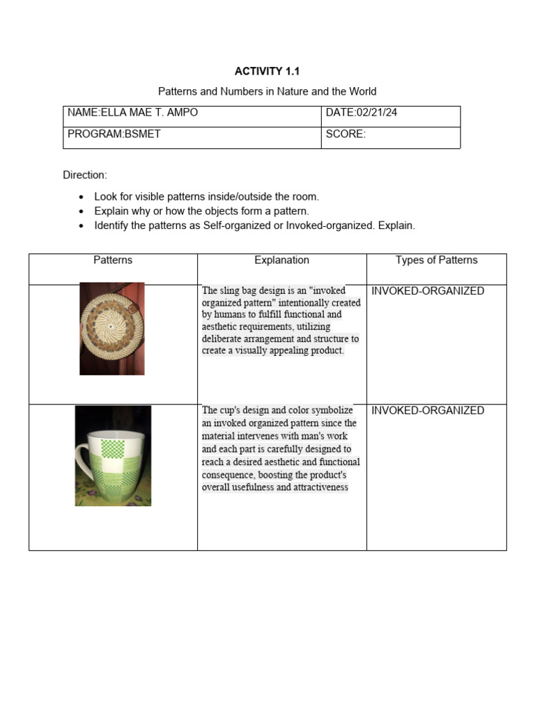 Activity1.1 Ampo | PDF | Art