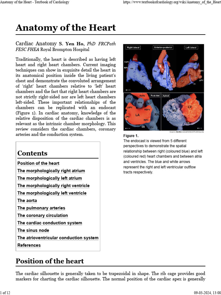 Anatomy of Heart Cardiology | PDF | Heart Valve | Coronary Circulation