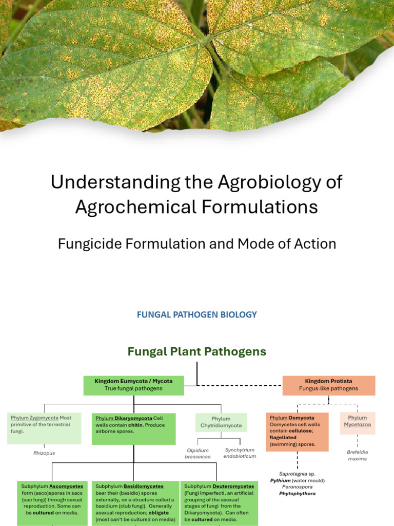 Fungicide Formulation and Action Overview | PDF | Fungus | Spore