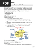 Anatomie de la fosse cérébrale postérieure | PDF | Cervelet | Moelle ...