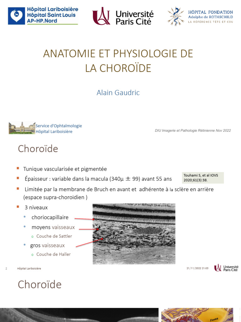 Anatomie et Rôle de la Choroïde | PDF | Système nerveux | Rétine