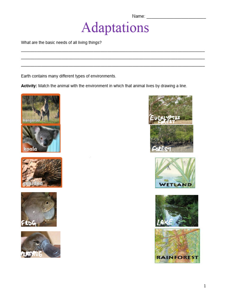 7 Science Adaptions | PDF | Adaptation | Natural Environment