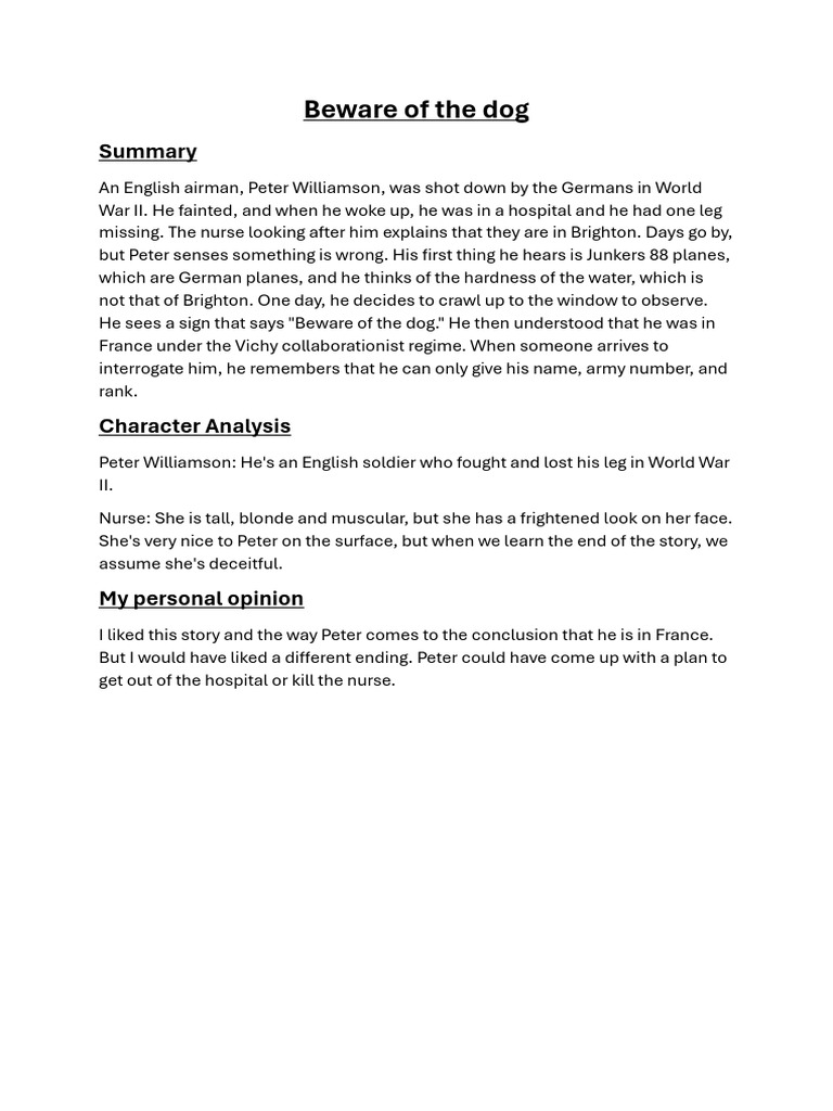 Beware of The Dog - EN - Version | PDF | Mystery, Thriller & Crime Fiction