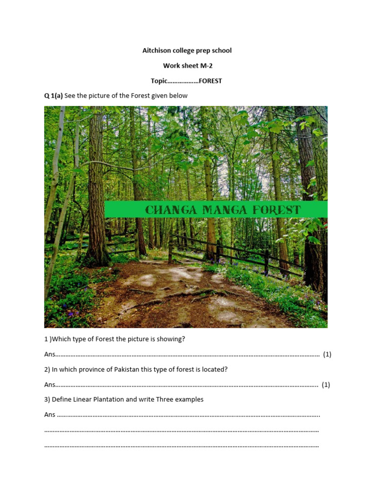 Aitchison College Prep School Work Sheet M-2 Topic FOREST Q 1 (A) See ...