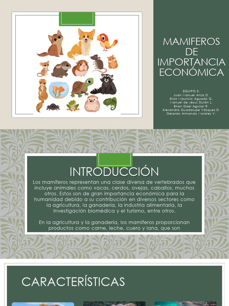 Mamiferos de Importancia Económica | PDF | Ciencia y matemáticas