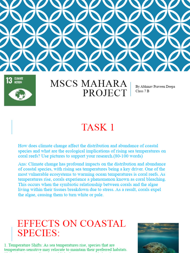 Mscs Mahara Project | PDF | Ocean Acidification | Coral Reef