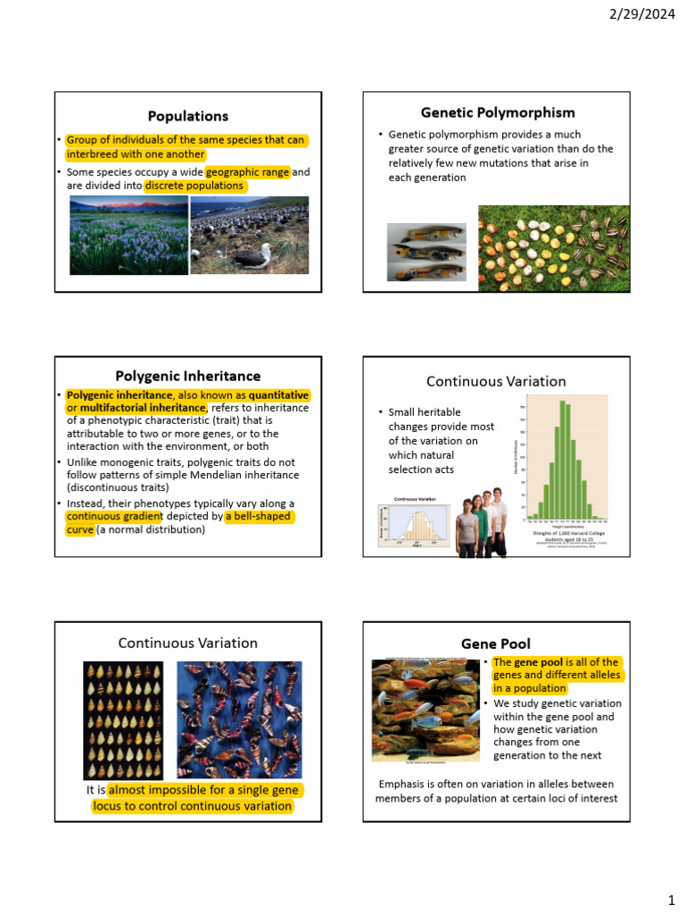 Populations Genetics | PDF | Zygosity | Allele