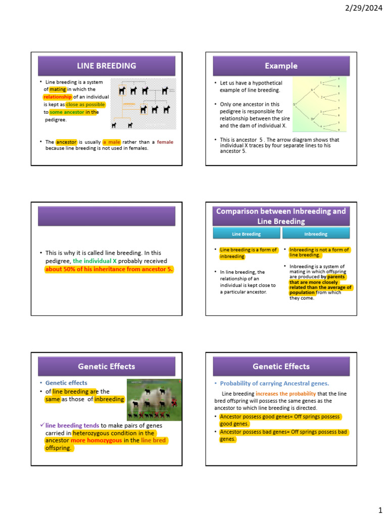 LINE BREEDING Heterosis | PDF