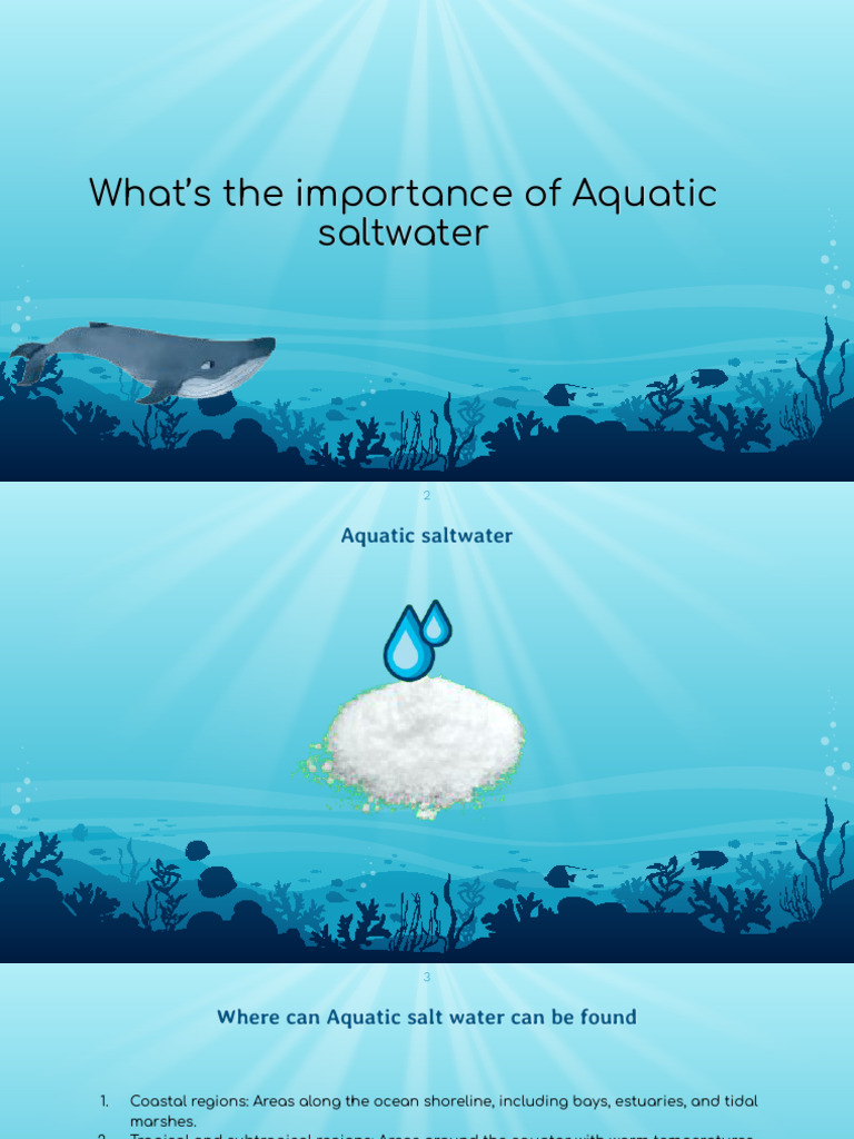 Importance and Types of Aquatic Saltwater | PDF | Aquatic Ecosystem ...
