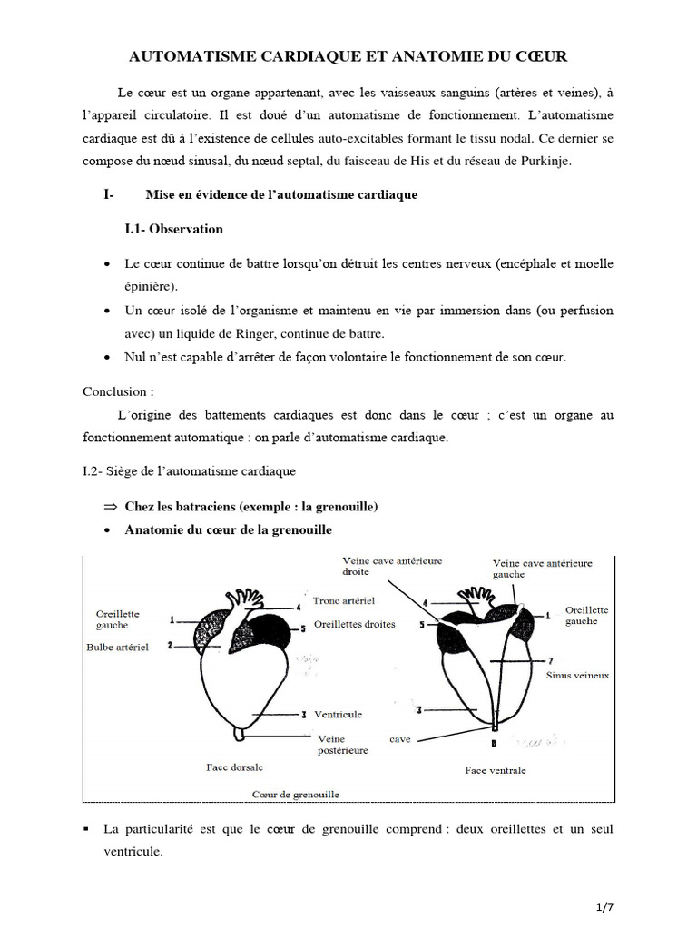 Automatisme cardiaque chez la grenouille | PDF | Cœur | Muscle