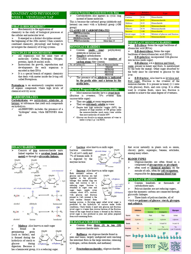 P Bchem Merged | PDF