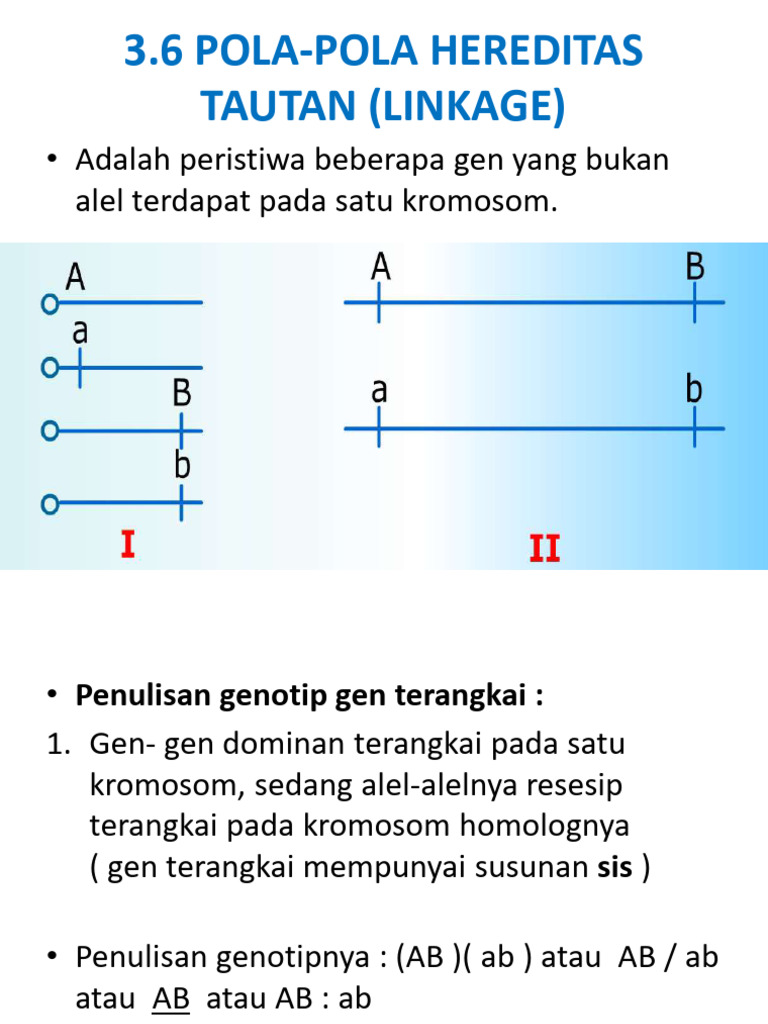 Pola - Pola Hereditas | PDF