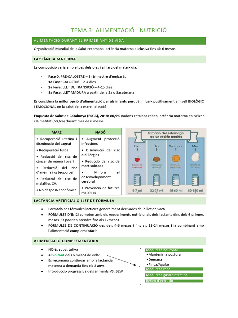 Apuntes Infància Definitivos 2n Quatri Pdf