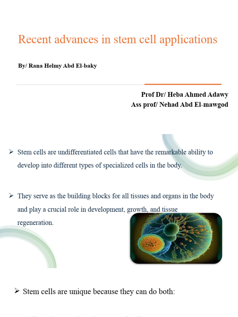 Recent Advaces in Stem Cell Application - pptx222 | PDF | Cell Potency | Stem Cell