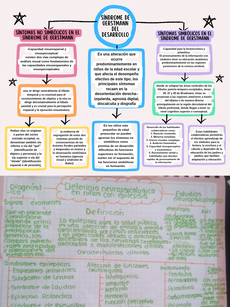 T2 Mapa Conceptual | PDF | Memoria | Corteza cerebral