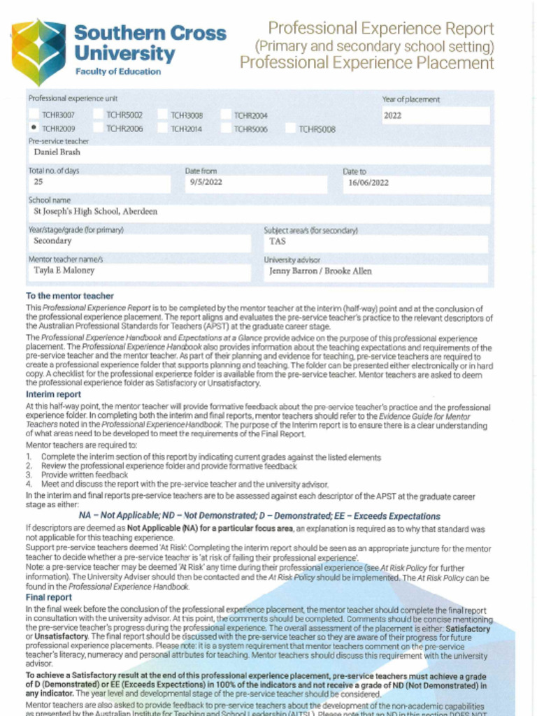 Professional Experience FINAL REPORT | PDF