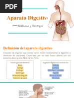 ESÒFAGO (Anatomía, Embriología, Histología y Fisiología) | PDF ...