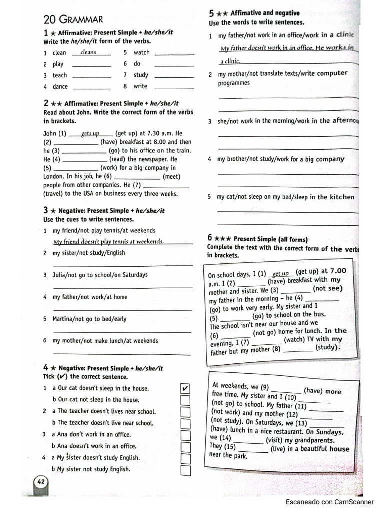 Present Simple Revision Pdf