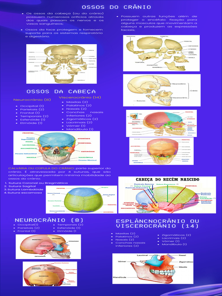 Ossos Do Crânio | PDF