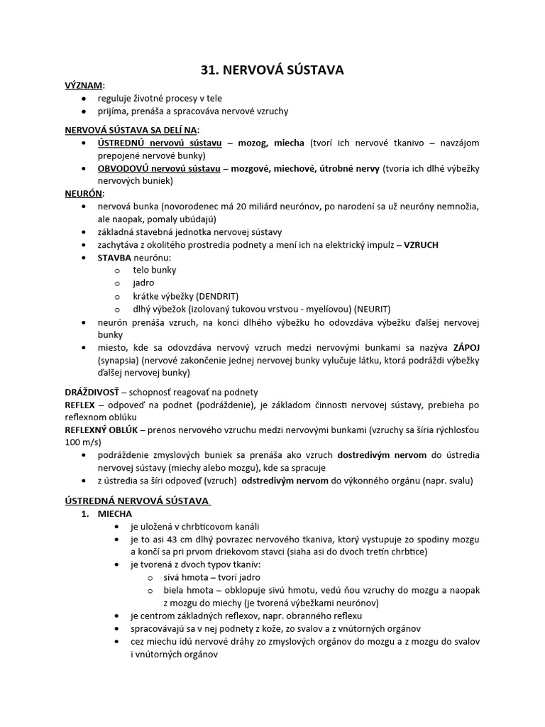 31 - Nervová Sústava | PDF