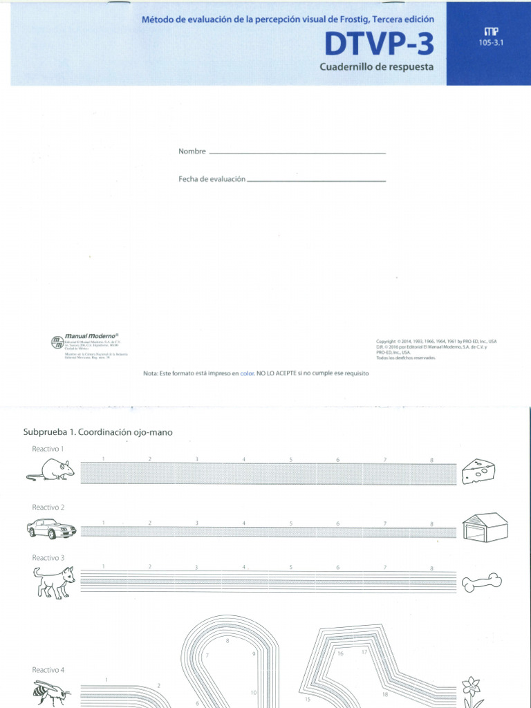 DTVP 3 Cuadernillo de Respuestas | PDF
