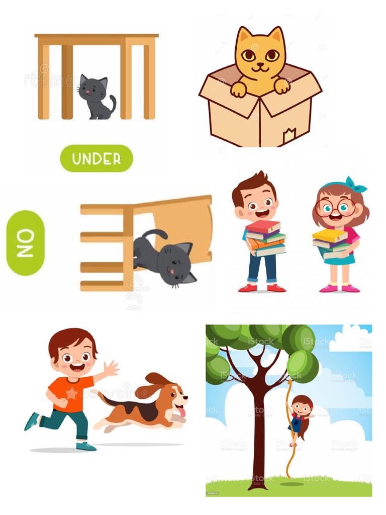 3rd Flashcards-WPS Office | PDF