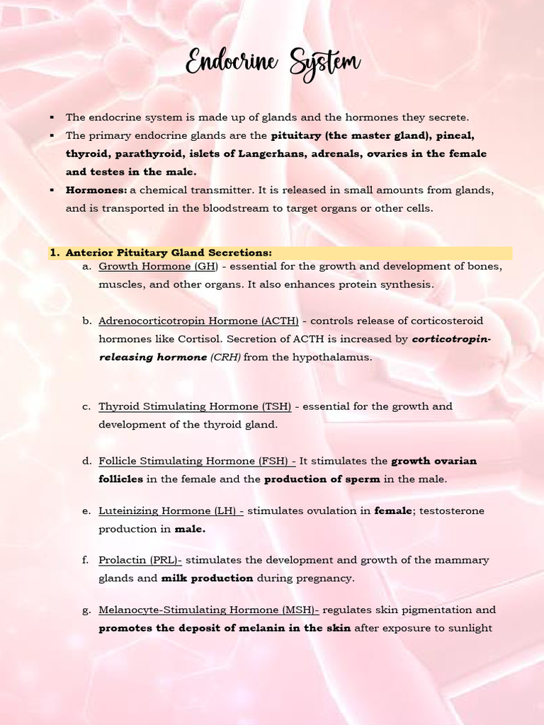 Endocrine System - outlINE | PDF | Endocrine System | Adrenocorticotropic Hormone