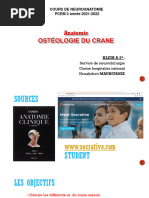 ANATOMIE DU TRACTUS OPTIQUE Zio | PDF | Thalamus | Système nerveux