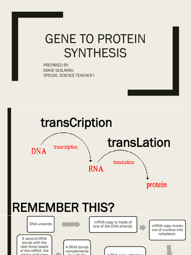 DNA Replication and Synthesis Overview | PDF | Dna Replication | Dna