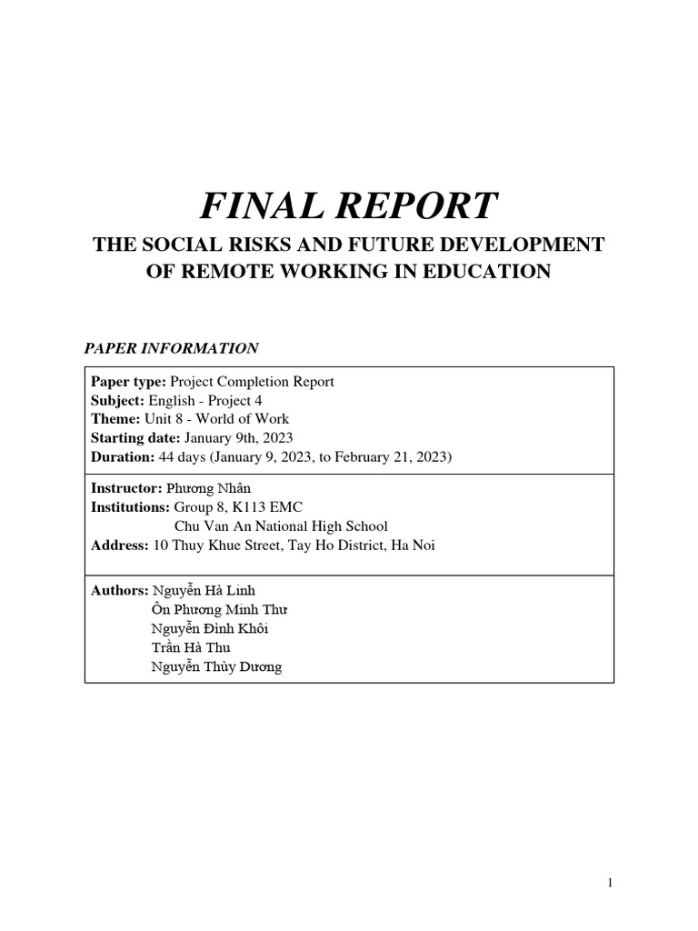 Final Report - The Social Risks and Future Development of Remote ...