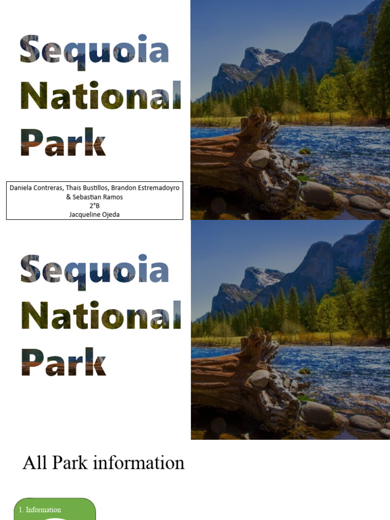 Sequoia Park | PDF