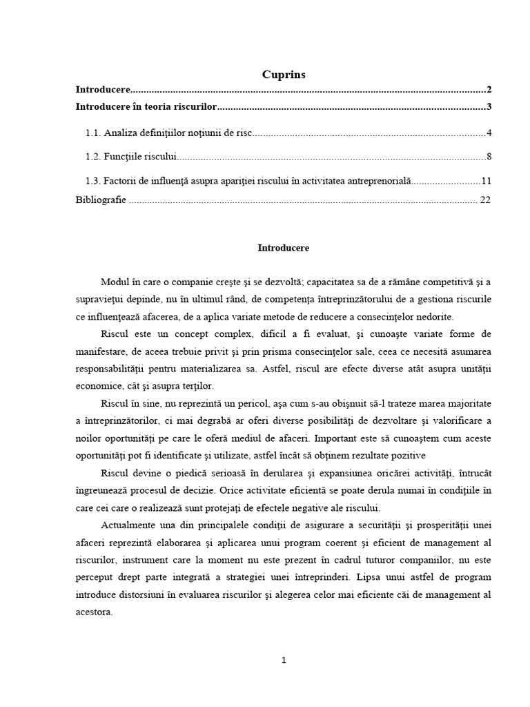 Managementul-Riscurilor-in-Afaceri - Raport 2 | PDF