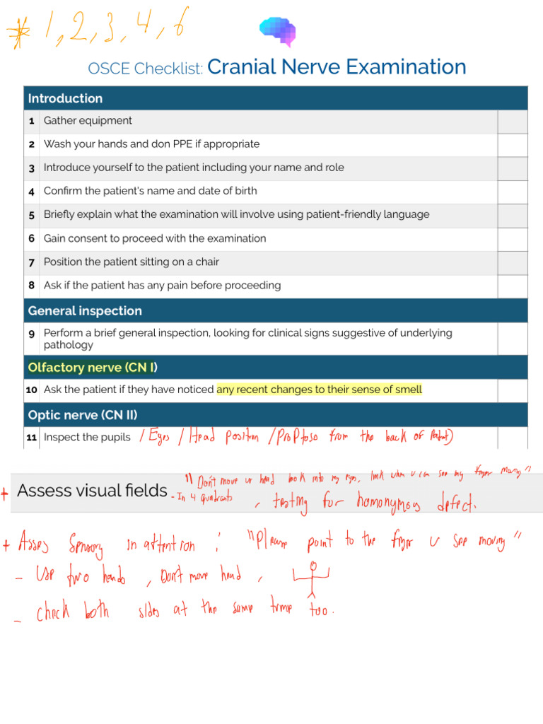 CN Examination | PDF | Ophthalmology | Nervous System