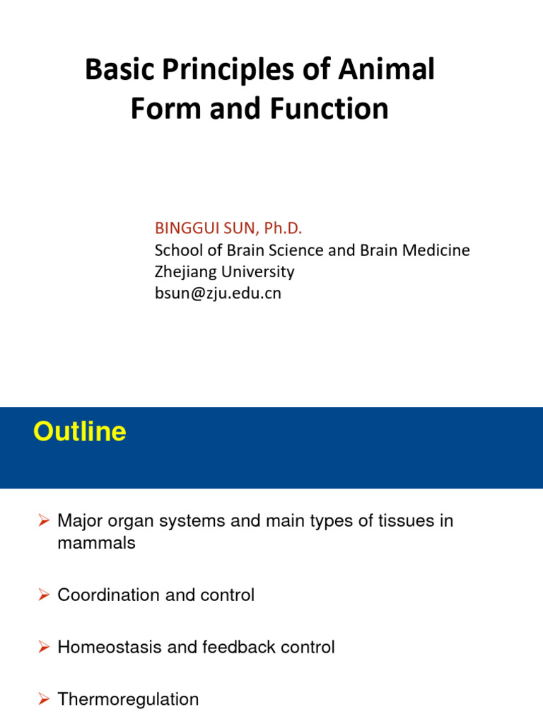 Animal Form and Function Basics | PDF | Epithelium | Thermoregulation