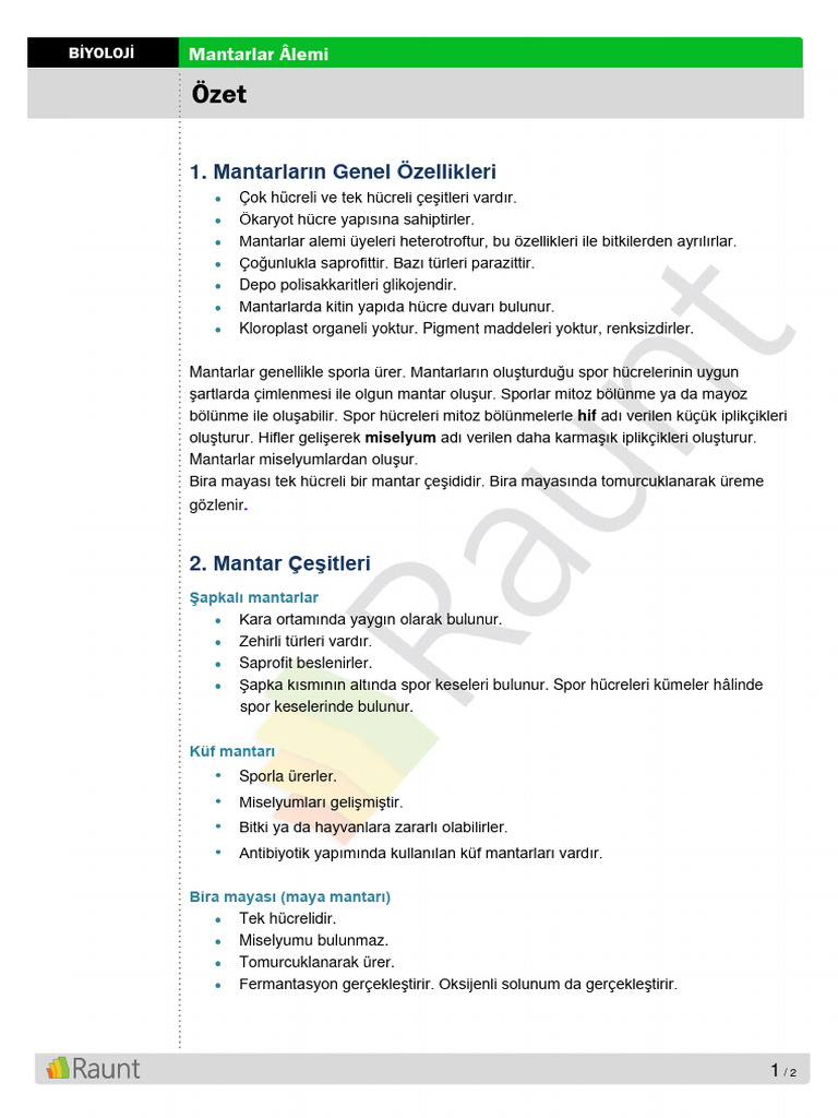Mantarlar Alemi Ozet RAUNT | PDF