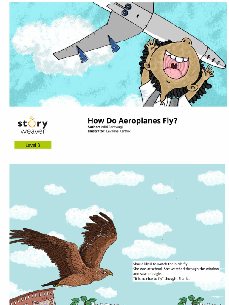 How Do Aeroplanes Fly | PDF