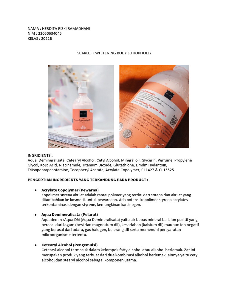 22 - 045B - Herdita Rizki R | PDF