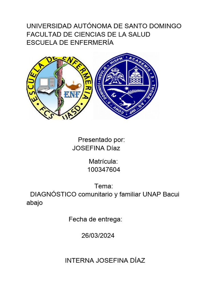 Diagnóstico Comunitario en Bacui Abajo | PDF | Enfermería | Amor