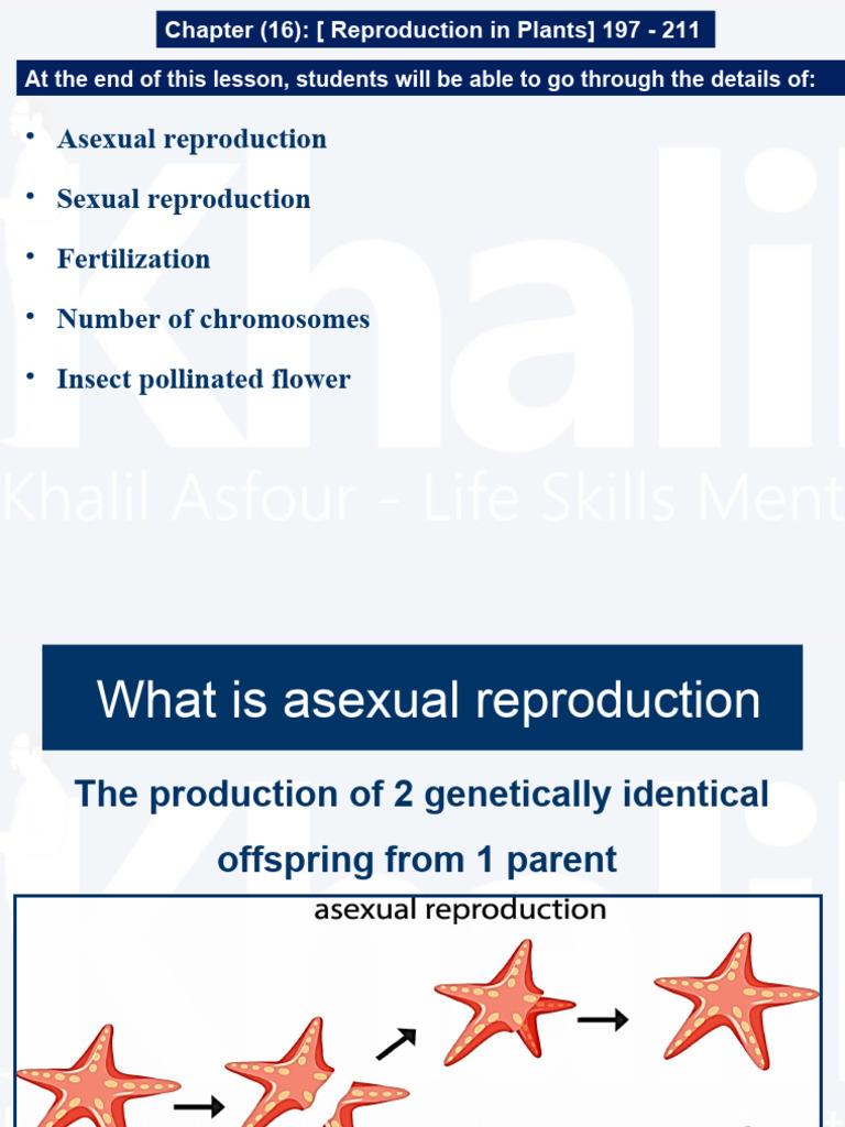 Asexual Reproduction - Sexual Reproduction - Fertilization - Number of ...