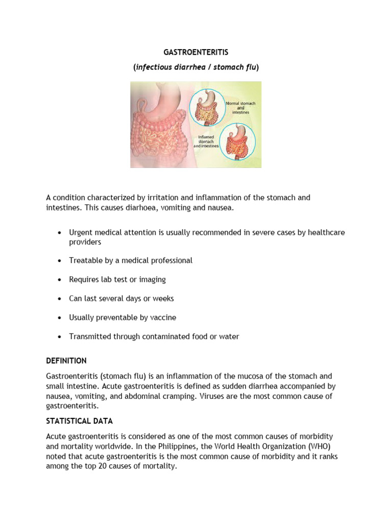 Understanding Gastroenteritis Symptoms & Care | PDF | Diarrhea | Human ...