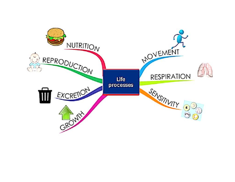 LIFE PROCESSES | PDF