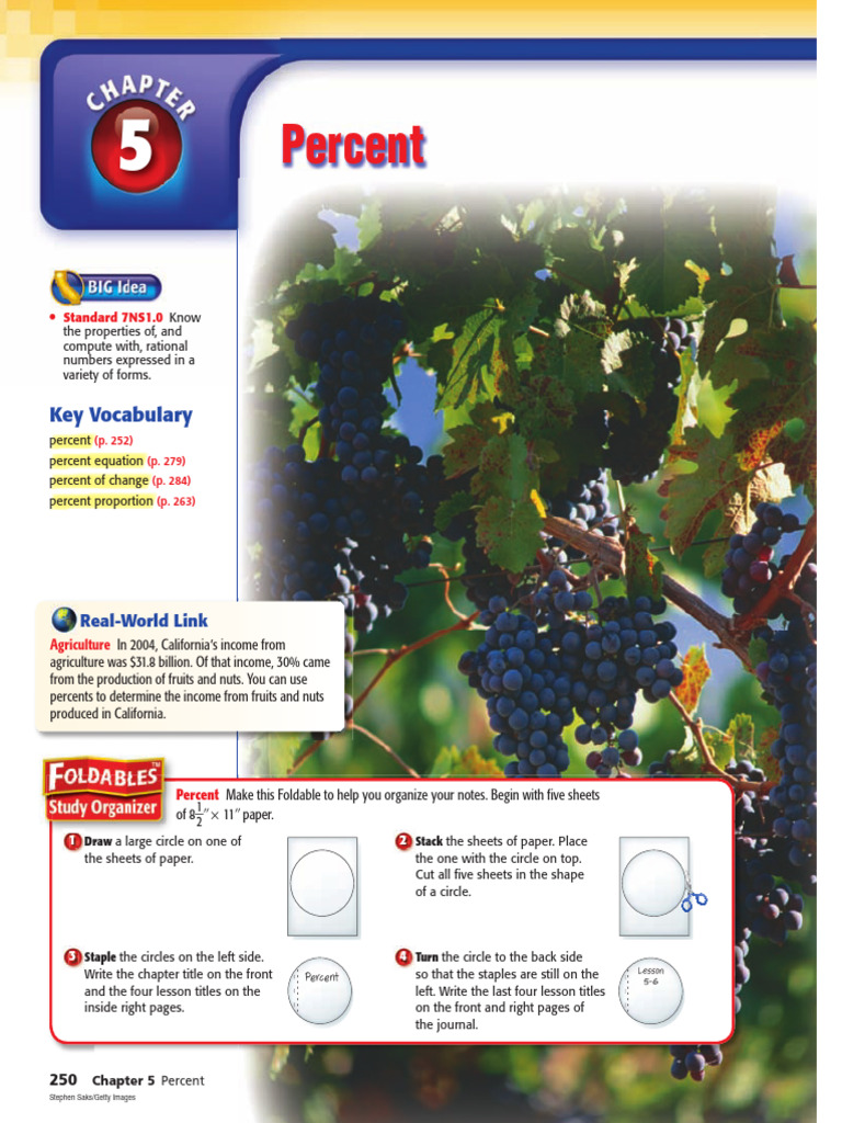 Chapter 5 Percent | PDF | Decimal | Percentage