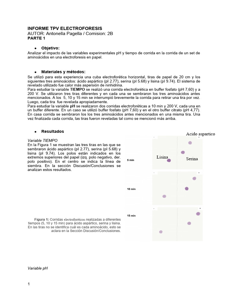 Informe Solubilidad Laboratorio | PDF | Solución tampón | Electroforesis