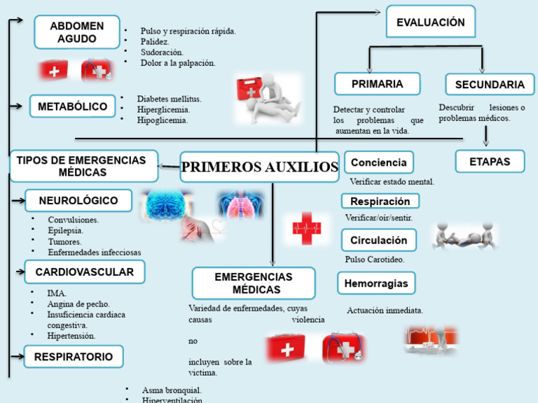 Mapa-conceptual-de-los-Primeros-Auxilios-5 | PDF | Medicina CLINICA | Epidemiología