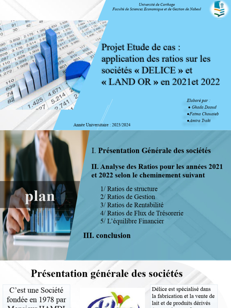 Projet Power | PDF | Ratio financier | Titres de participation