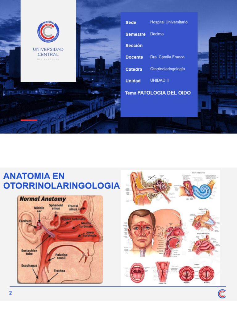 Anatomía y Patologías del Oído | PDF | Oído | Enfermedades y trastornos