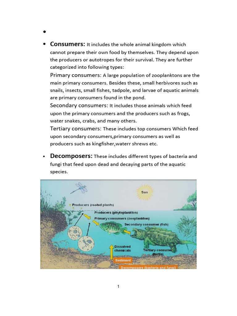 Crabs as Secondary Consumers | PDF